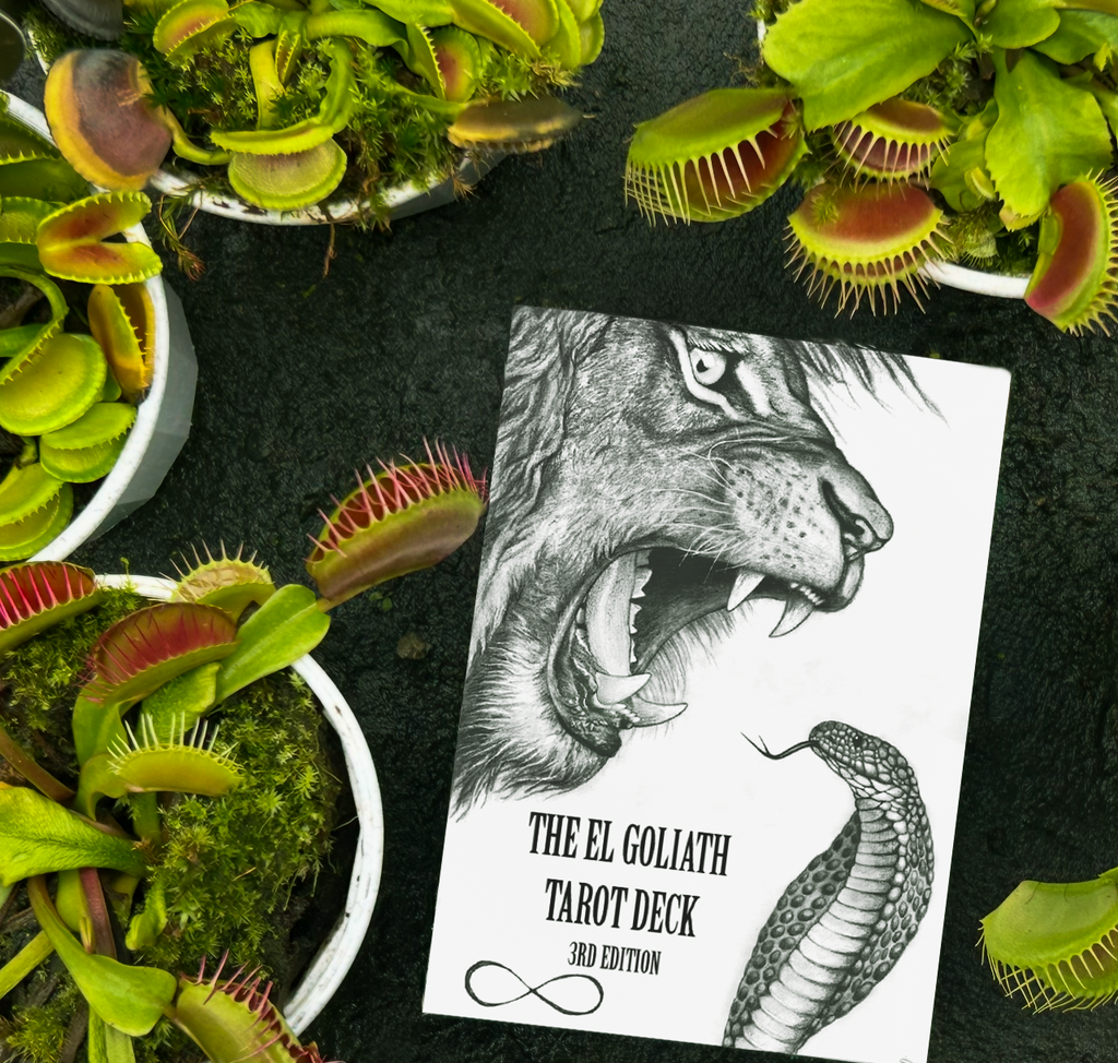 The El Goliath Tarot Deck - 3rd Edition – Welcome